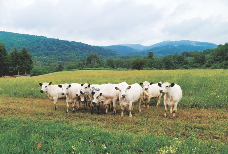 Beefing up | News, Sports, Jobs - The Express